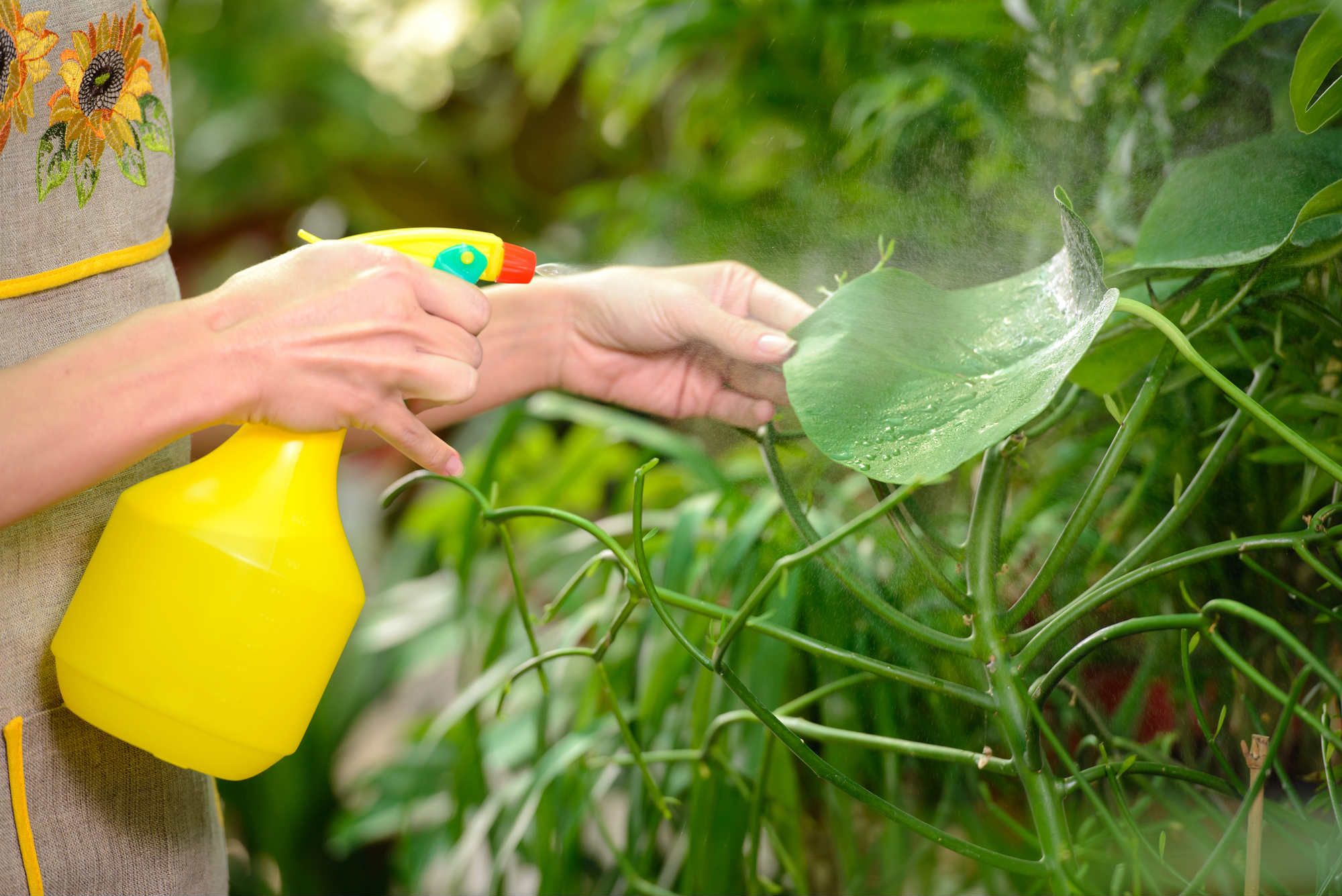 Couple says Monsanto Company Knew of Roundup and Cancer Correlation