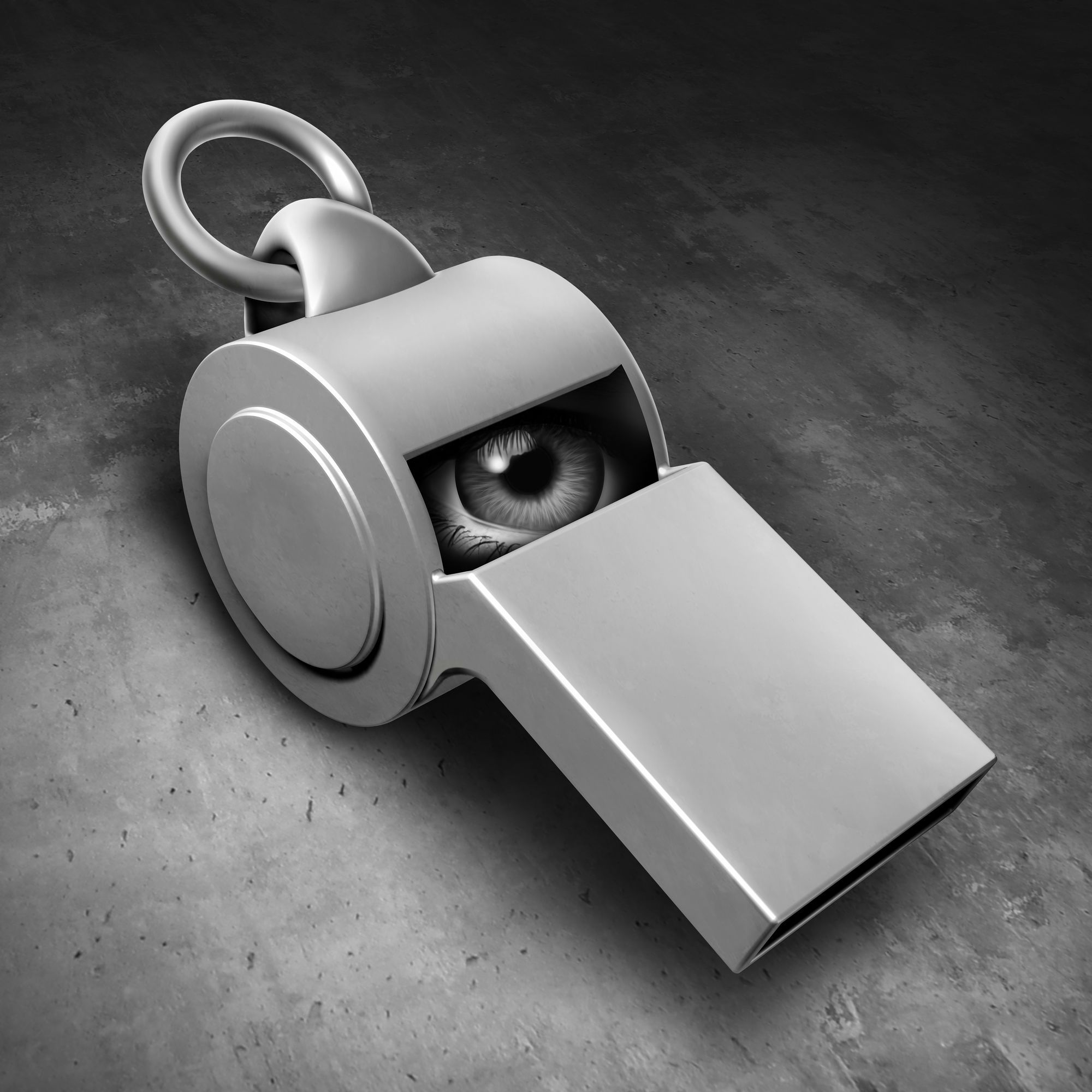 What is a qui tam case?