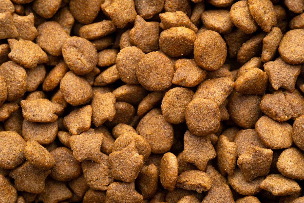 Midwestern Pet Foods aflatoxin, salmonella contamination $6.375M class ...